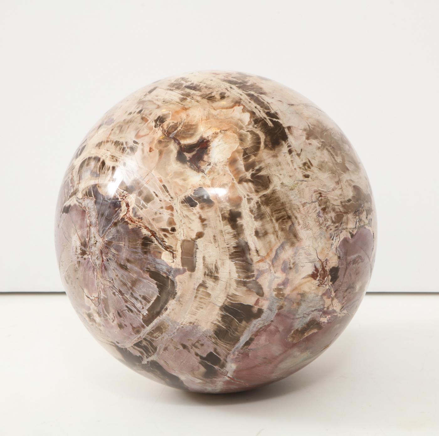 Giant Polished Petrified Wood Sphere.