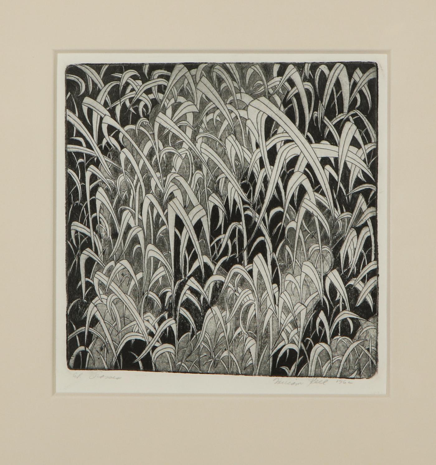 Grasses, William Pell