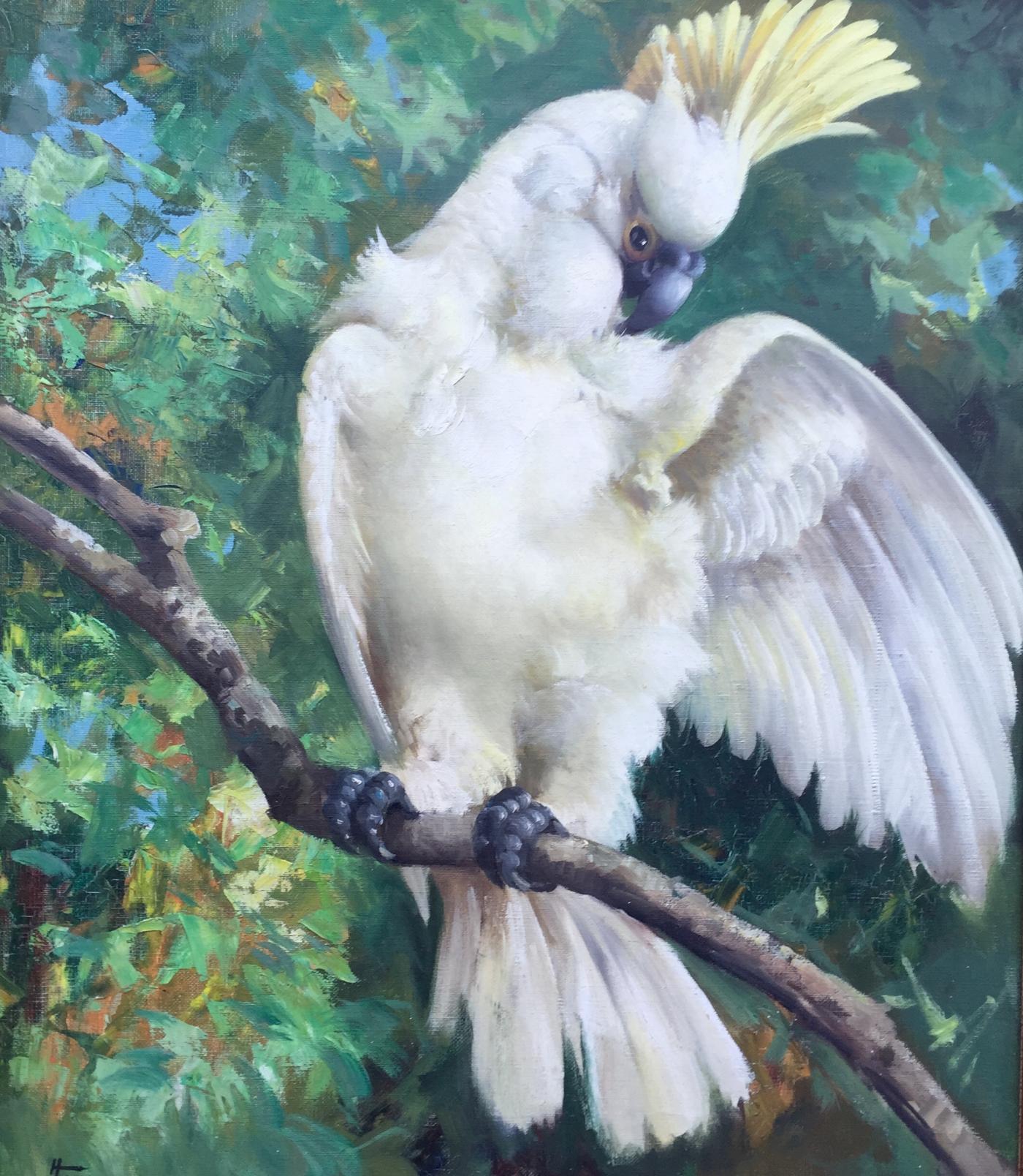 Honore Theodore Camos - "Yellow-Crested Cockatoo"
