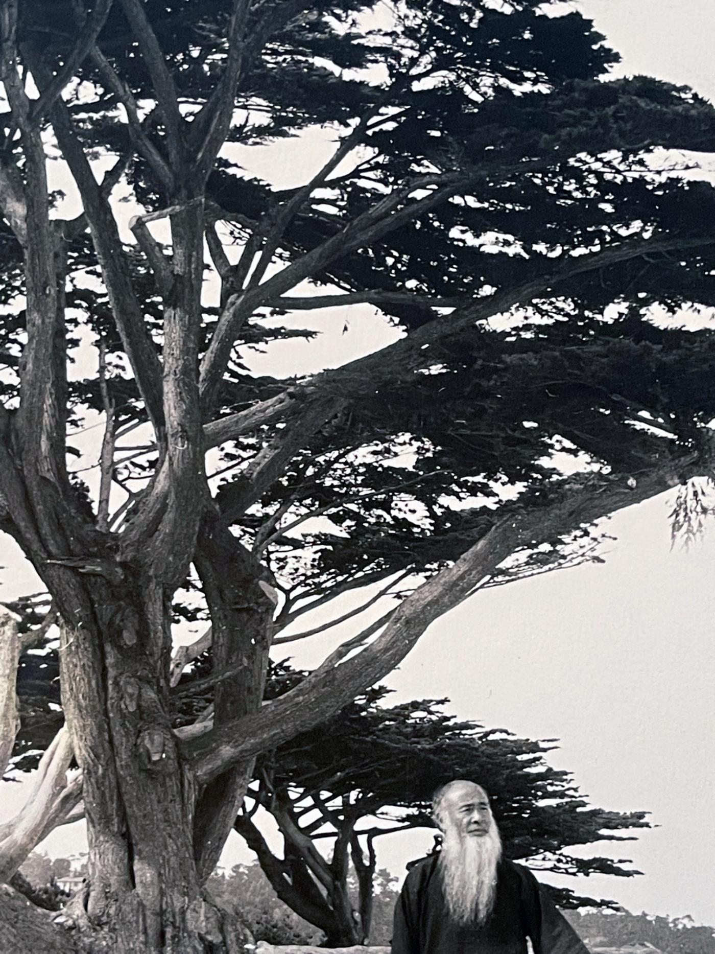 JinShan Lang - Rare Photograph of Zhang Da Qian by Chin San Long