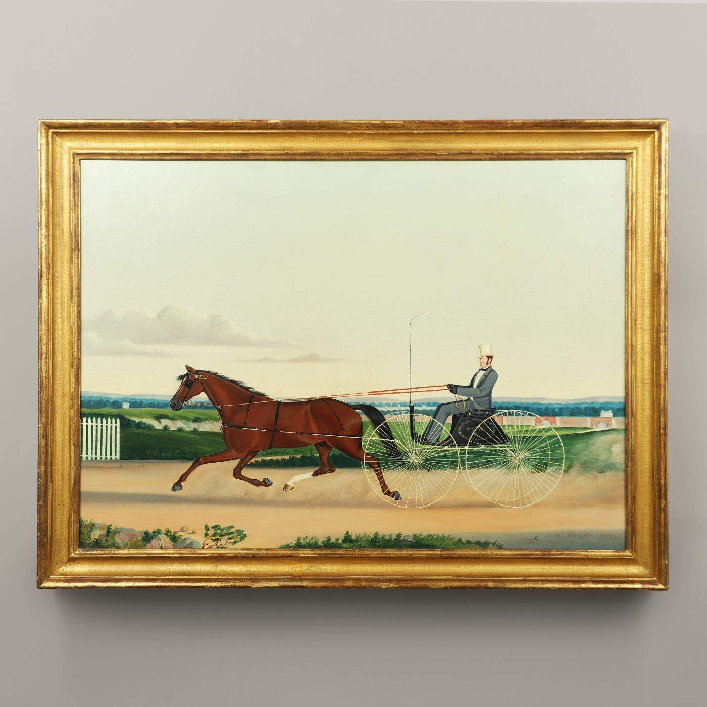 John McAuliffe - Harness Racing