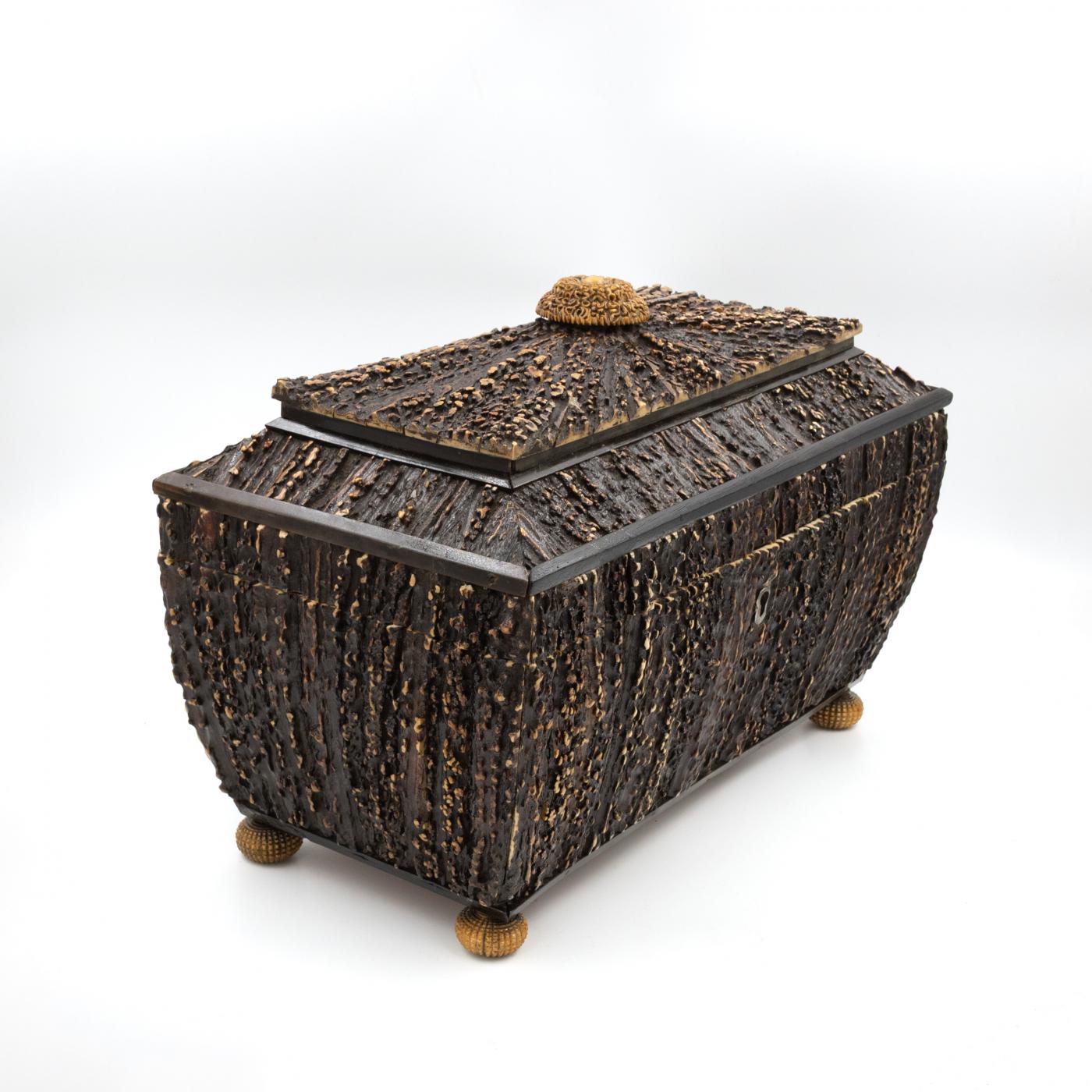 Large-Scale Anglo-Indian Stag Horn Box, Circa 1860