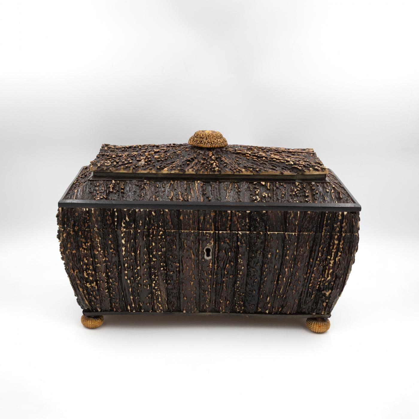 Large-Scale Anglo-Indian Stag Horn Box, Circa 1860