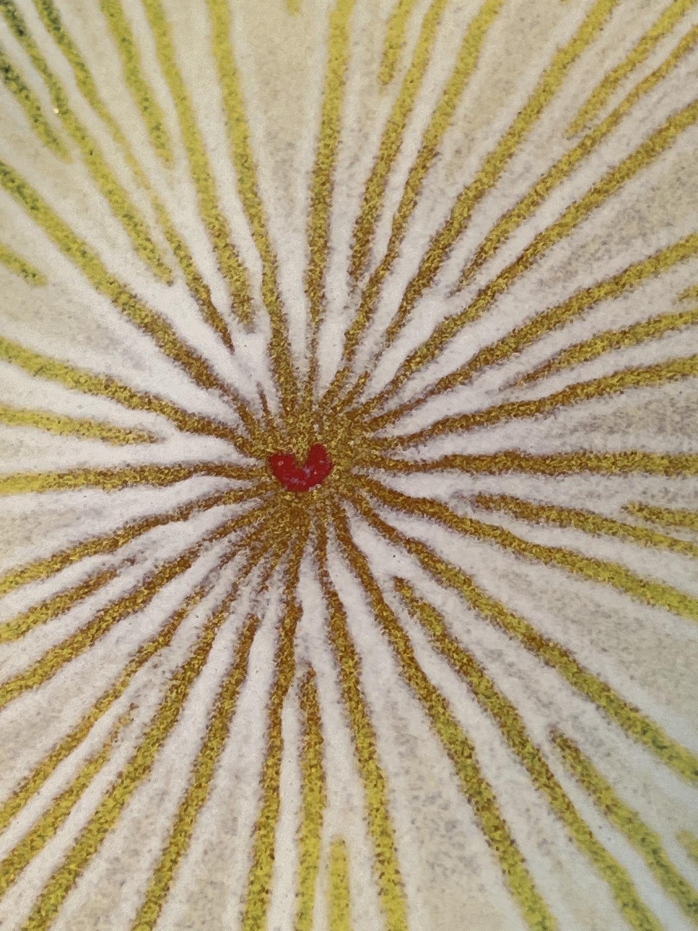 Maurice Heaton - BIOMORPHIC ART GLASS TRAY BY MAURICE HEATON