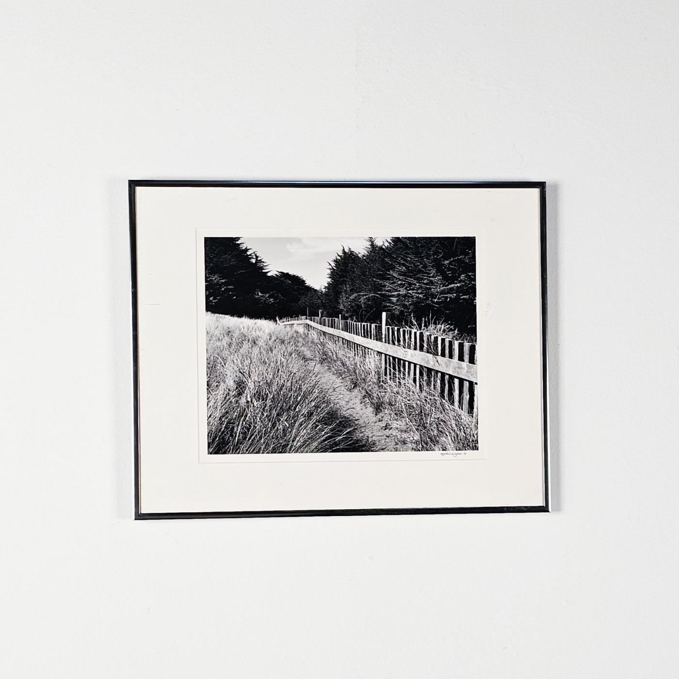 Michael Wayman, "Trail and Fence — Sea Road", dated 1991/2