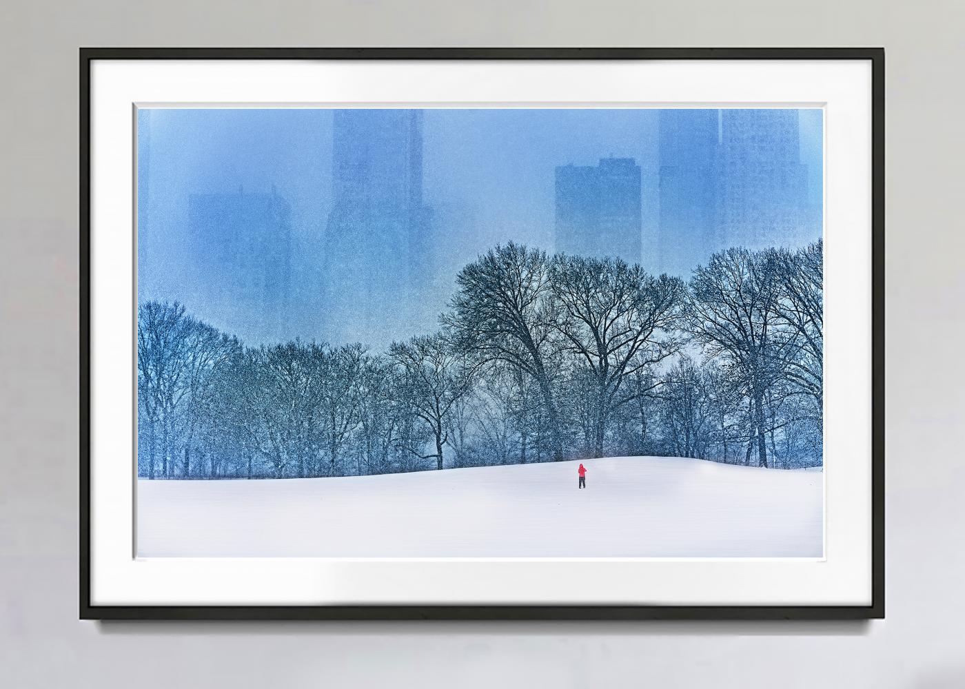 Mitchell Funk - Snow in Central Park Billionaire Row - Monochromatic ...