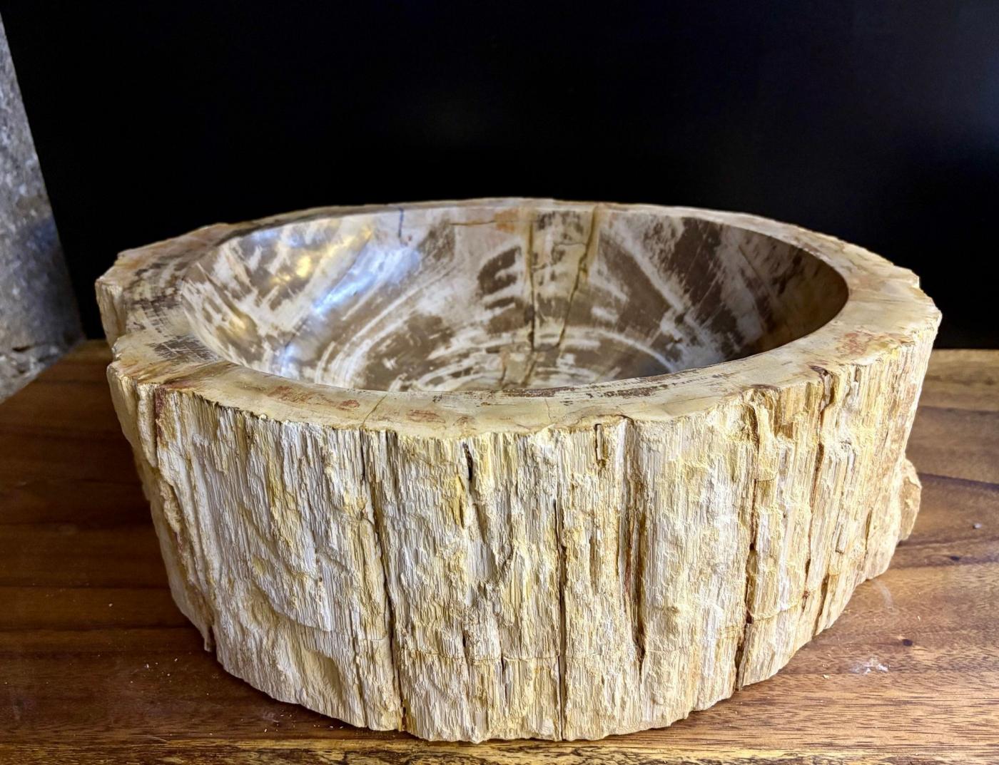 Modern Organic Petrified Wood Sink, Grey/ Brown/ Beige - polished, IDN 2025