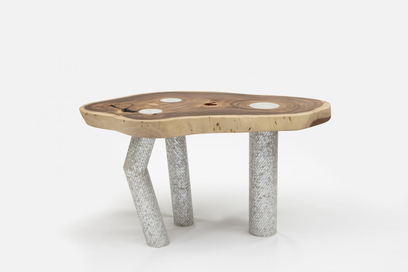 Nada Debs - Coming To Life Center Table