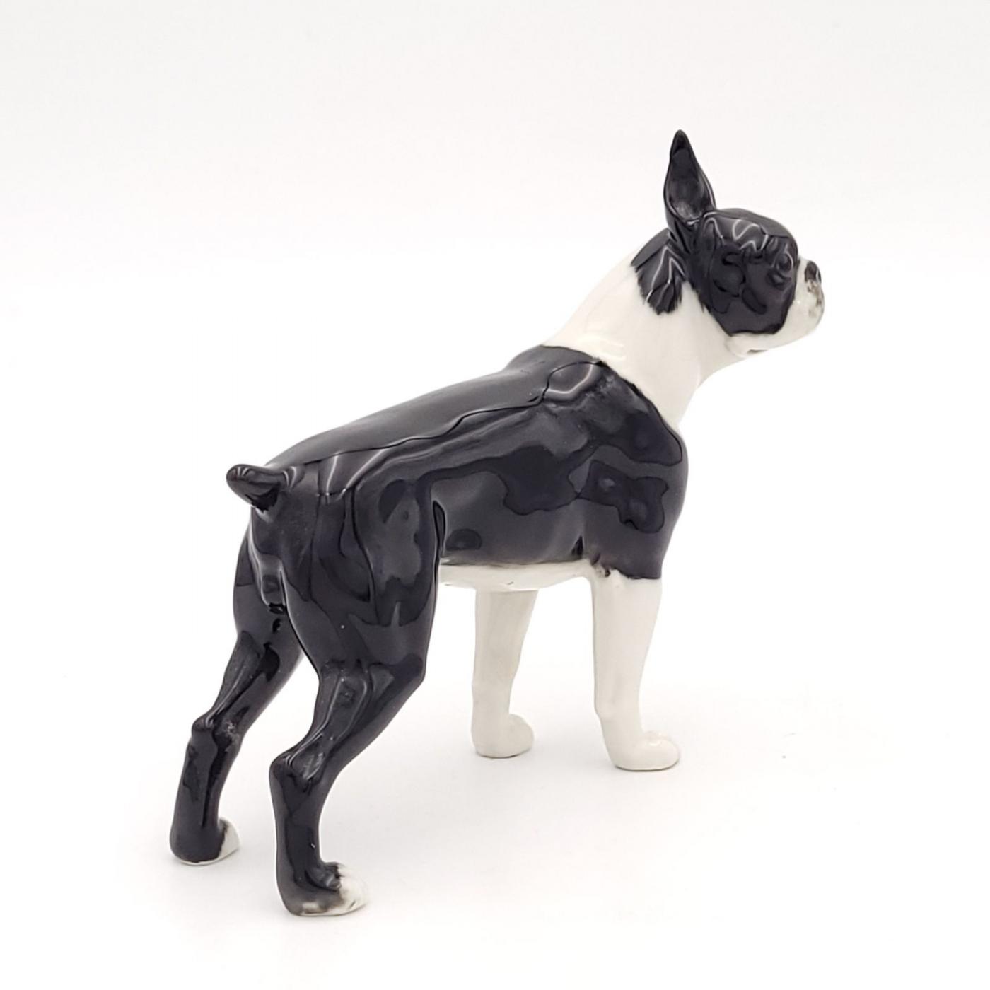 Porcelain Boston Terrier, Germany circa 1900