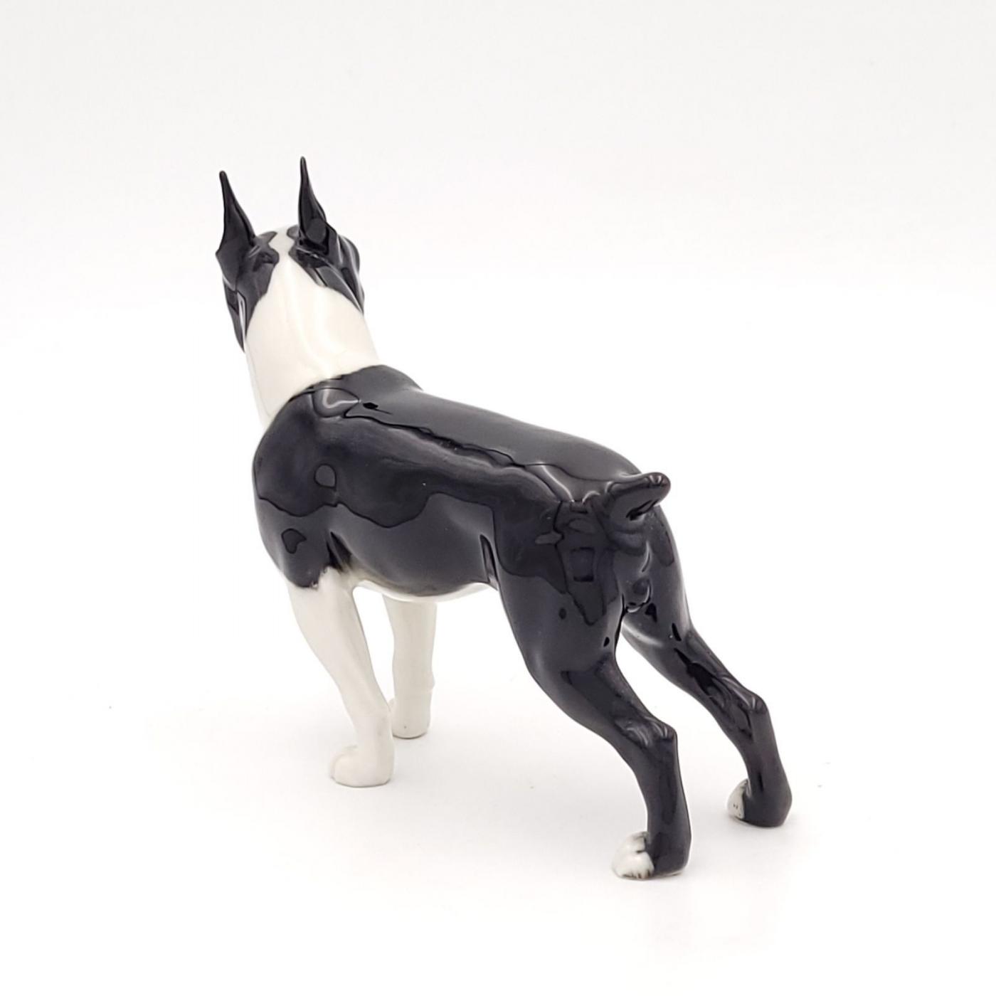 Porcelain Boston Terrier, Germany circa 1900