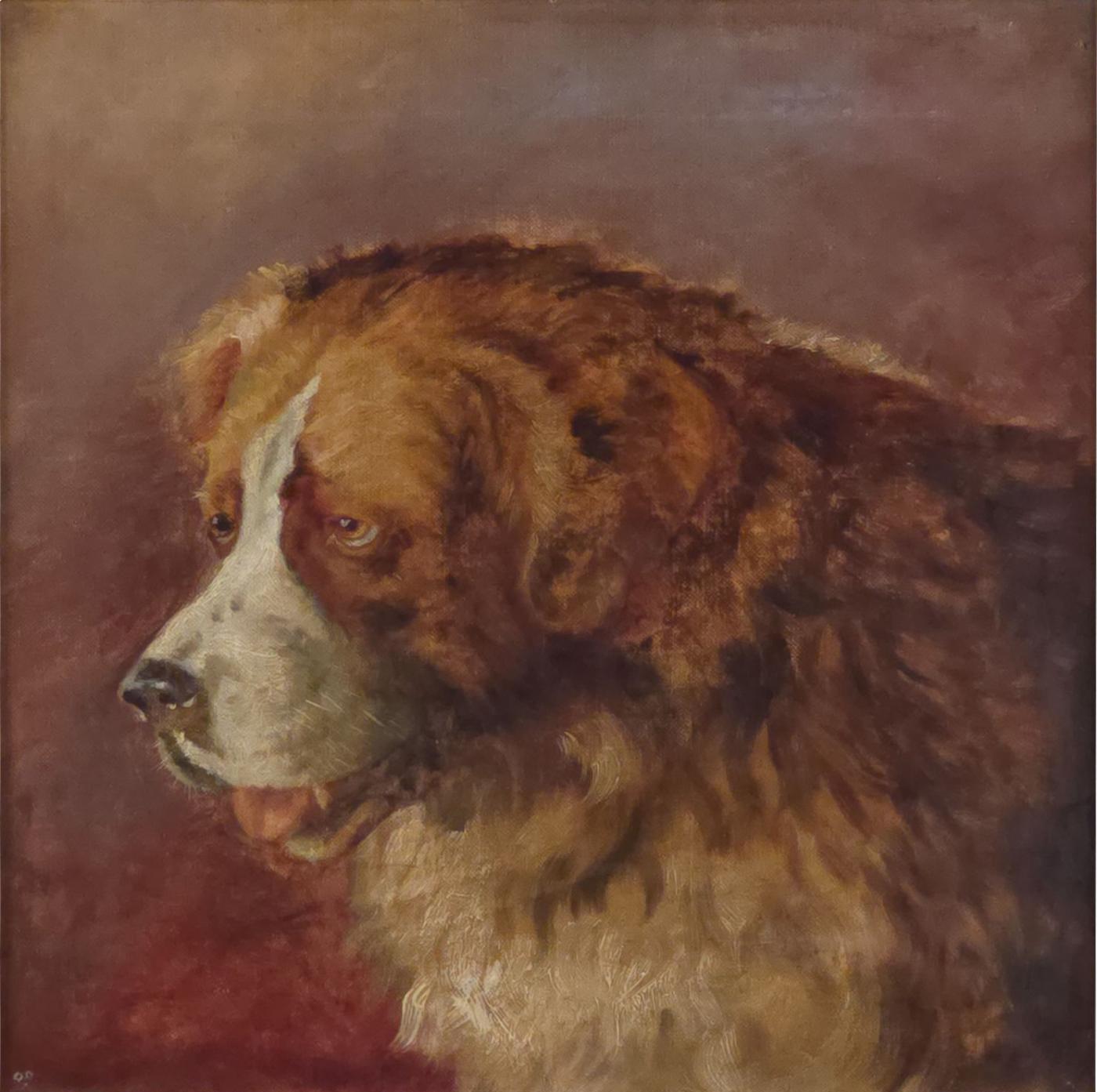 Portrait of a Saint Bernard, England circa 1880