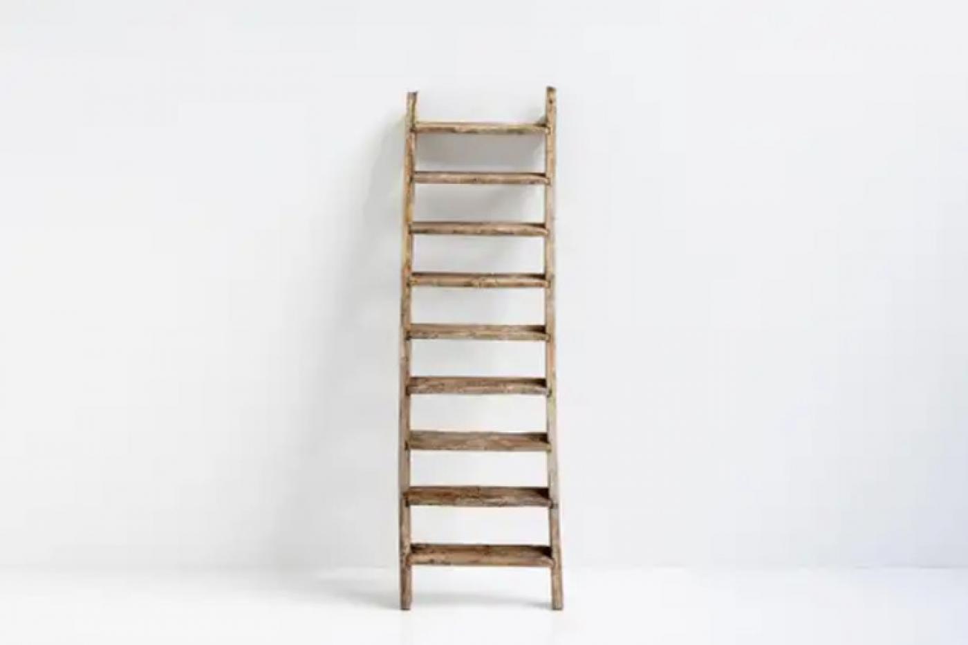 Rustic Art Populaire Ladder, France, 20th Century