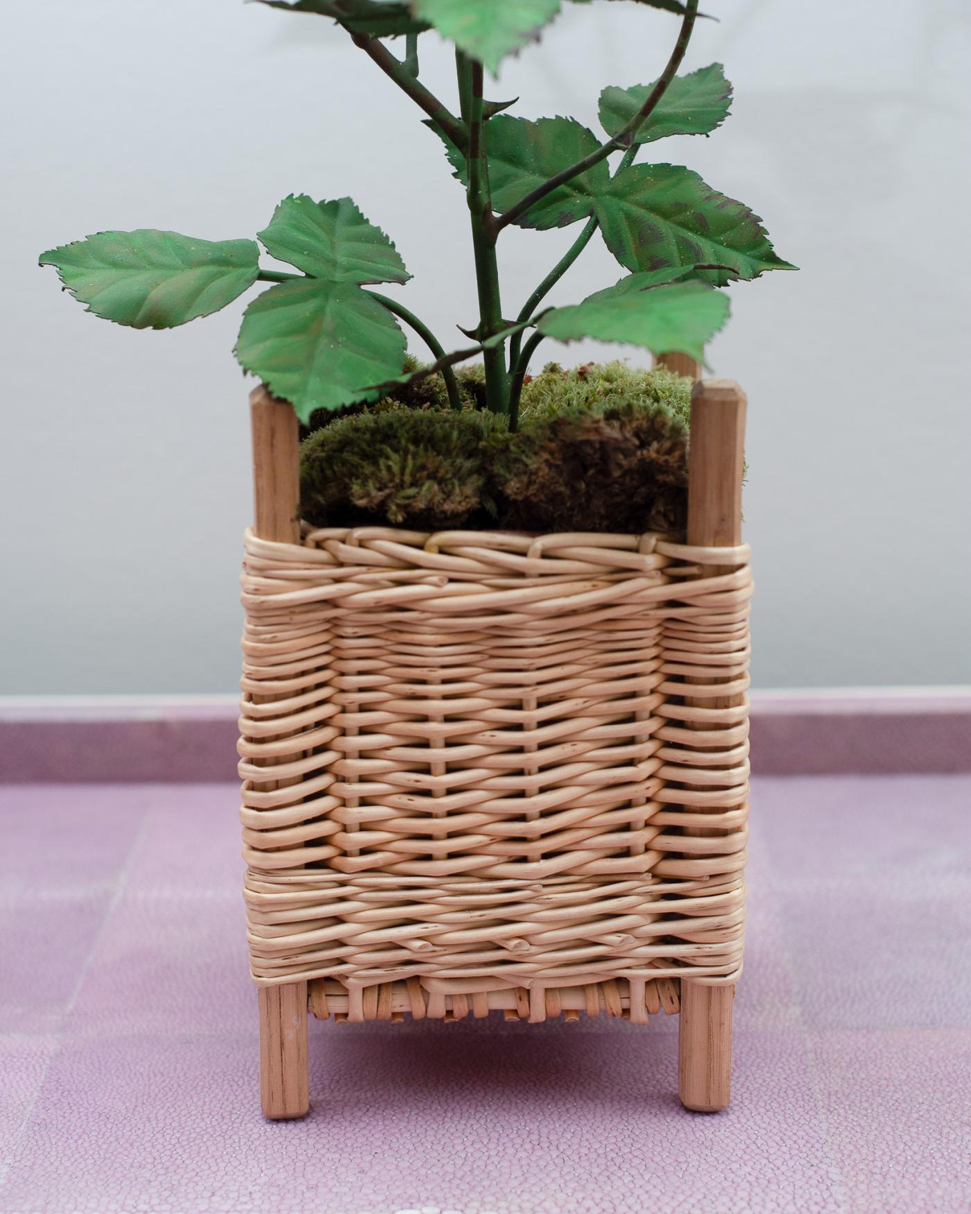 Samuel Mazy - Contemporary Samuel Mazy Biscuit Porcelain Rose Bush ...