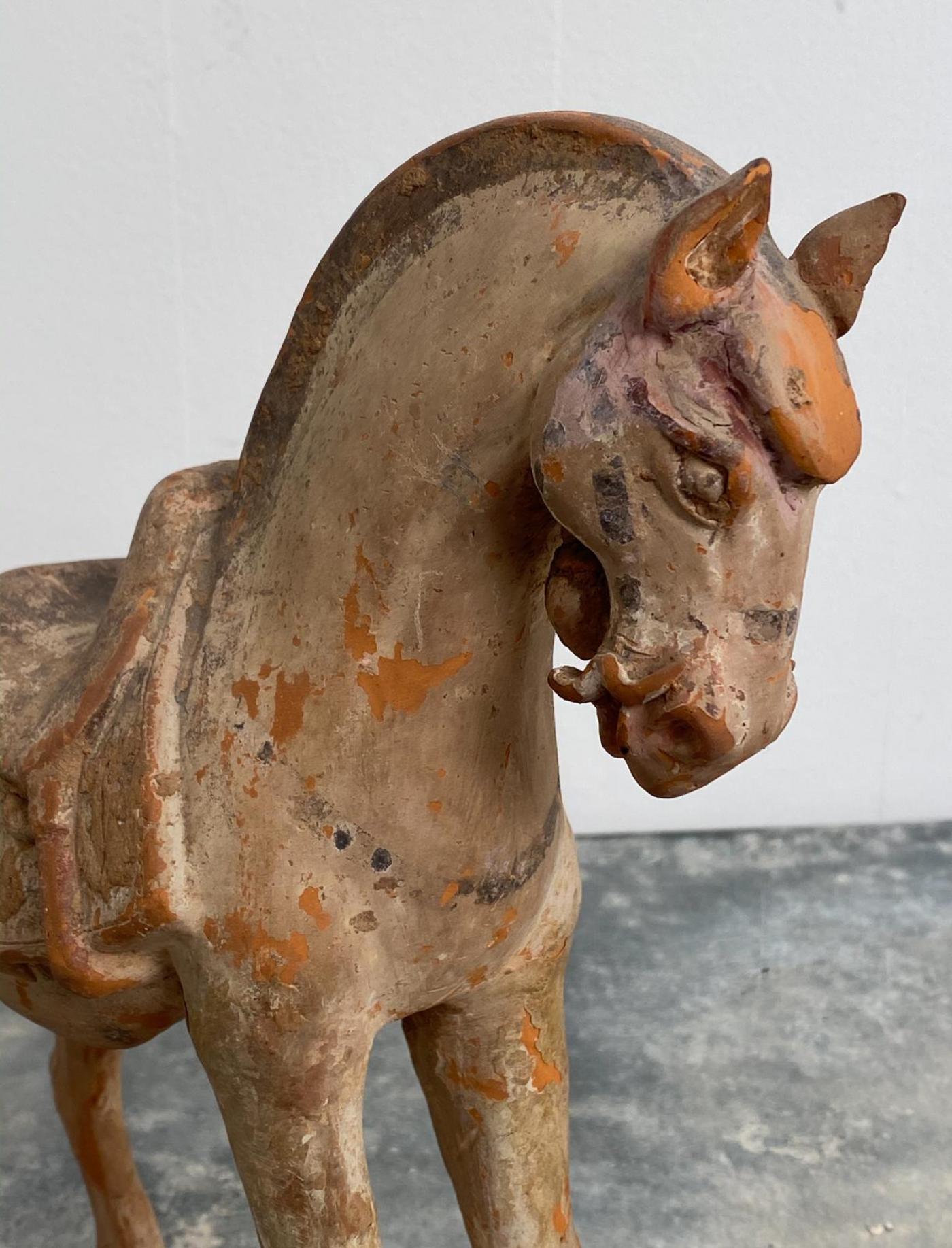 Tang Dynasty Horse, China Circa 7th Century