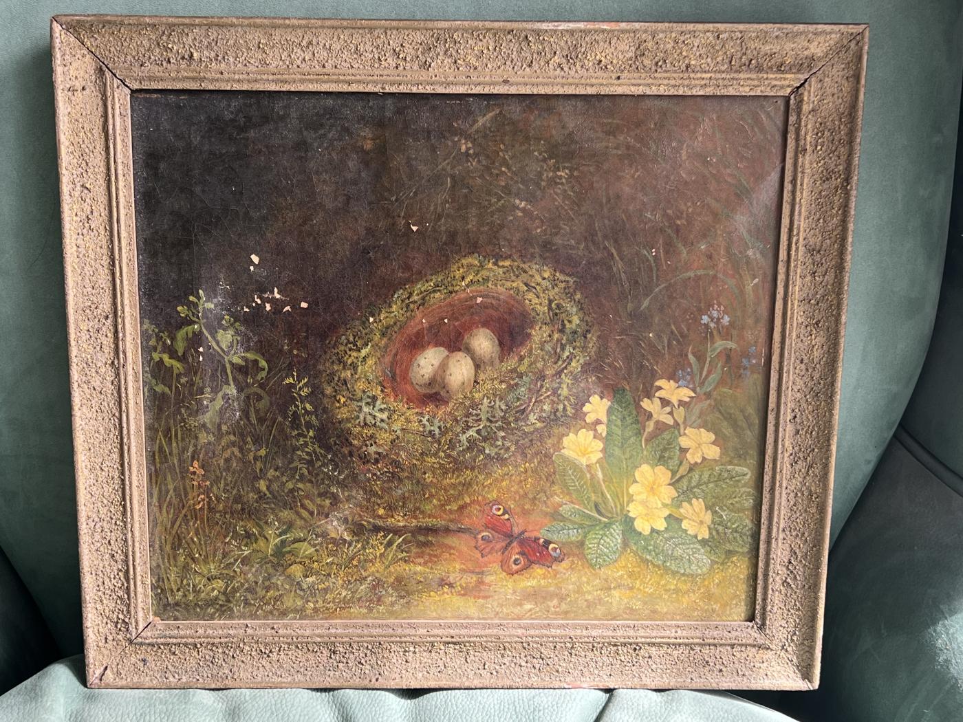 VICTORIAN STILL LIFE OF BIRD'S NEST,MEADOW FLOWERS AND PEACOCK BUTTERFLY