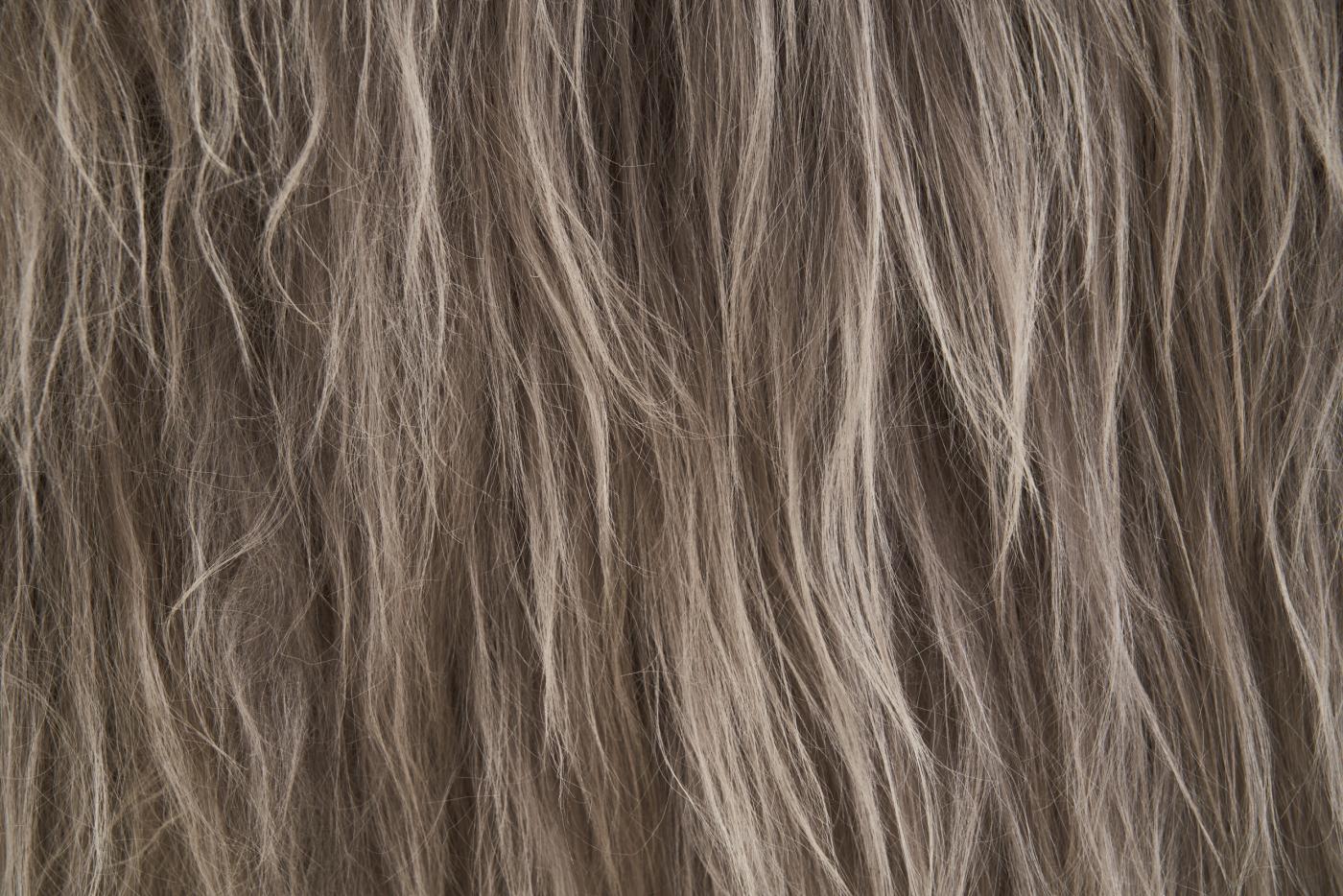 Yak Hide Daybed with Solid Wood Legs, Europe ca 1950s